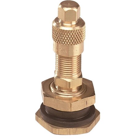 Haltec Tubeless Straight Valve Assembly H-45 | Zoro