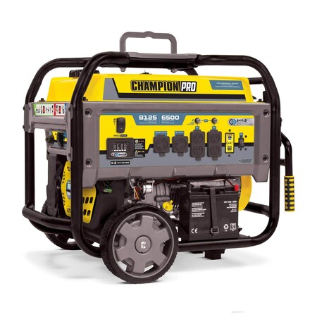 Champion Power Equipment Portable Generator, Gasoline, Electric, Recoil ...