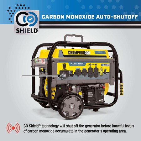 Champion Power Equipment Portable Generator, Gasoline, Electric, Recoil ...