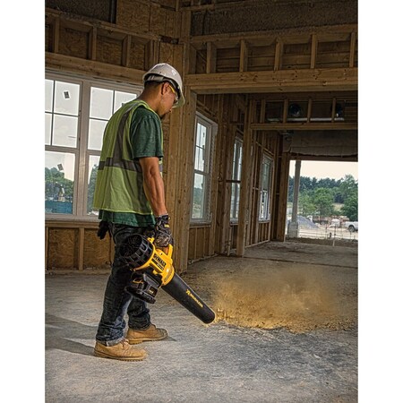 Dewalt 20V MAX* Lithium Ion XR(R) Brushless Handheld Blower (Bare ...
