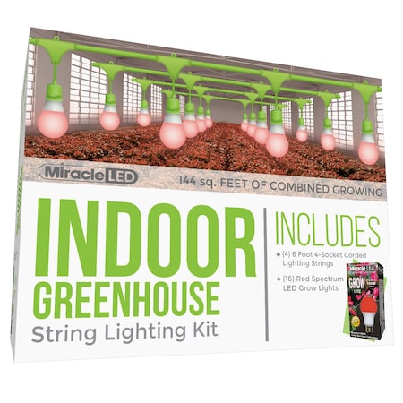 Miracle Led Absolute Daylight 4-Socket Corded L, PK4 601183 | Zoro