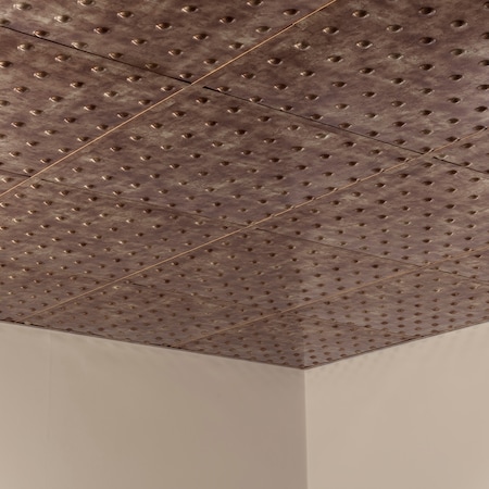 Fasade Dome 2Ftx2Ft Lay In Ceiling Tile Be, PK 5, 5 PK PL6317 | Zoro