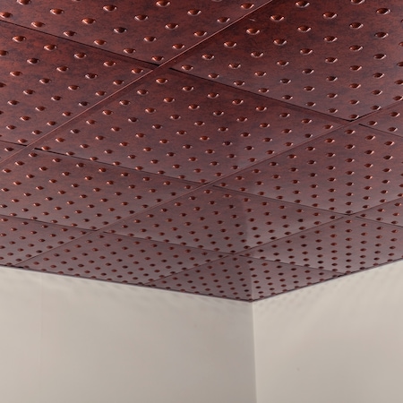 Fasade Dome 2Ftx2Ft Lay In Ceiling Tile Mo, PK 5, 5 PK PL6318 | Zoro