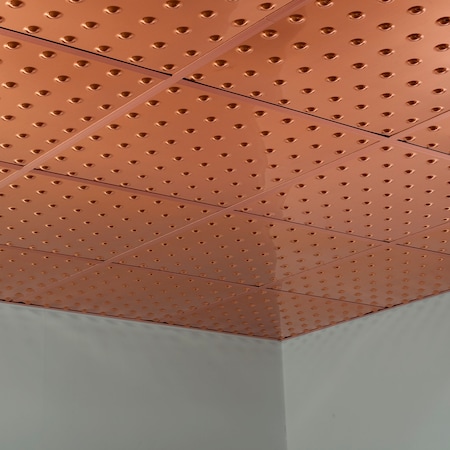 Fasade Dome 2Ftx2Ft Lay In Ceiling Tile Po, PK 5, 5 PK PL6325 | Zoro