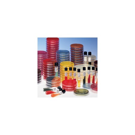 Becton & Dickinson Plate Ster Sab Dex Agar 10EA 299922 | Zoro