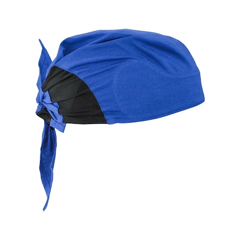 Radians Arctic RadwearHead Shade RCS305 | Zoro