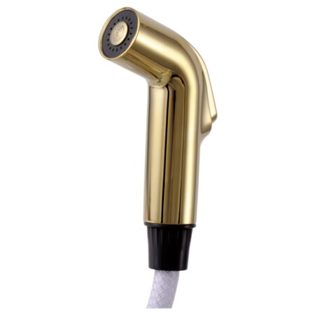 Delta Delta Side Spray/Hose Assembly, Polished RP28900PB | Zoro