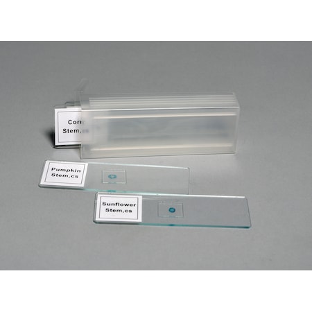 United Scientific Prepared Slide Set, 4 Slides SLDSET4 | Zoro