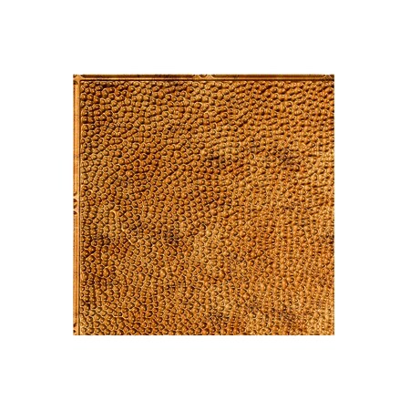 Fasade Lay In Ceiling Panel 2Ft X 2Ft Border Fi L5920 | Zoro