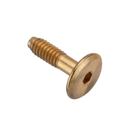 Ampg 1/4"-20 x 23 mm Hex Low Profile Machine Screw, Brass Plated Steel ...