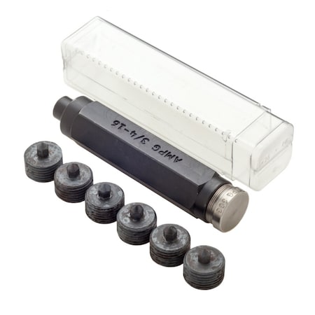 Ampg Transfer Screw Set, 3/4-16 ZTP3416 | Zoro