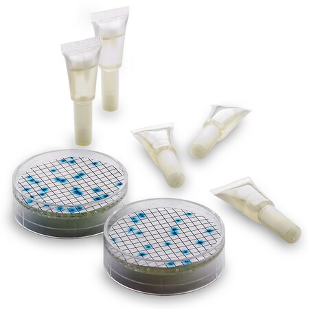 Hach Chemical Co Hach MI Broth. Incubation: 24 hours at 35 +/-0.5 Deg ...