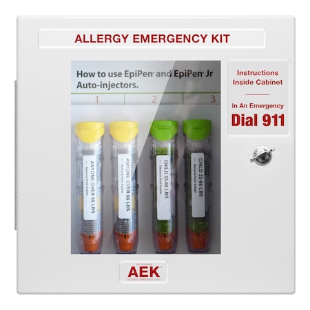 Aek Public Access Allergy Emergency Epinephrine Kit Cabinet NonLocking ...