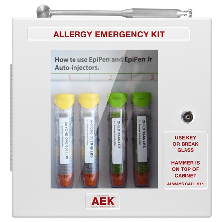 Aek Allergy Emergency Kit Lunchroom Corridor Epinephrine Cabinet ...