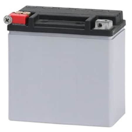 Ilc Replacement for Battery Etx14 12 Volt Power Sport- AGM Battery ...