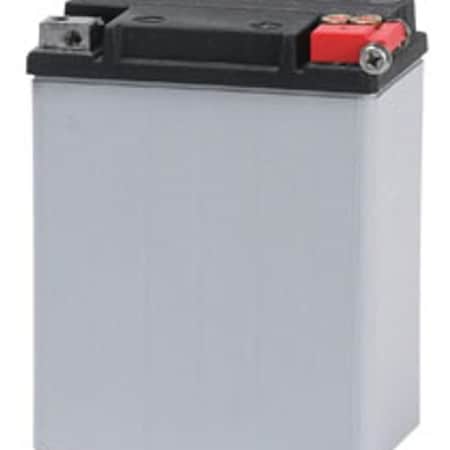 Ilc Replacement for Battery Etx15l 12 Volt Power Sport- AGM Battery ...