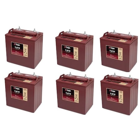 Trojan T875-6-PACK Battery T875-6-PACK | Zoro