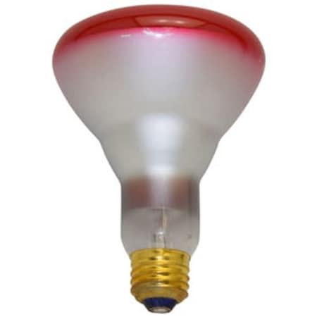 Ilc Replacement for Light Bulb / Lamp 75r30/r/rp replacement light bulb ...