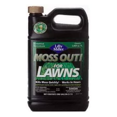 Lilly Miller Moss Out For Lawns Concentrate /1gal GL61100099156 | Zoro
