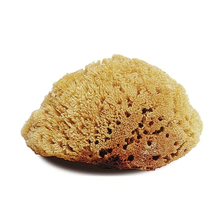 Jacks Natural Body Sponge Large 10313-L | Zoro