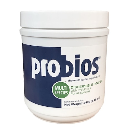 Vets Plus Probios Powder 240 grams 851-240GM | Zoro