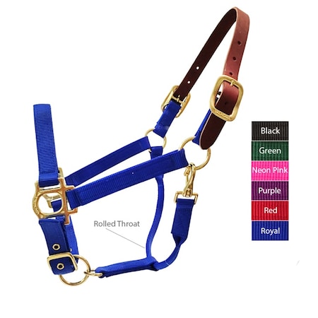 Valhoma Breakaway Halter ROYAL 500-800 LB 3361-RY-S | Zoro