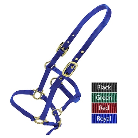 Valhoma Weanling Halter GREEN 3364-GN | Zoro