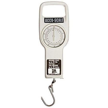 Danielson Scale 50 Lb W39 Tape DS50 | Zoro