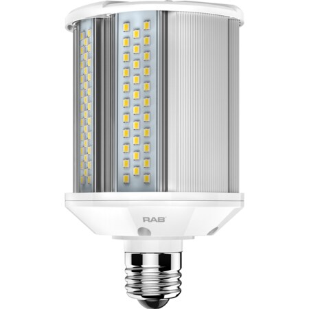 Rab HID WallPack 20W 100EQ E26 CRI80 5000K 3100lm HID-20-H-E26-850-BYP ...