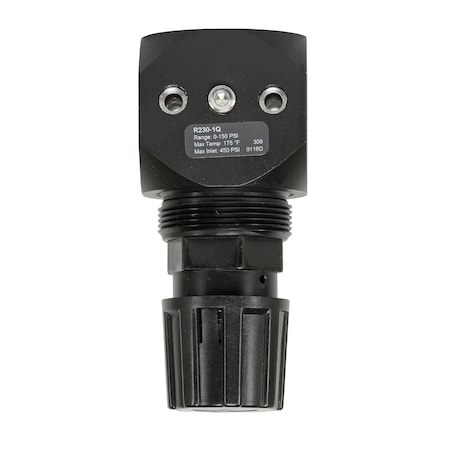 Master Pneumatic REGULATOR R230-1BHQW | Zoro