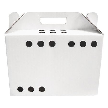 Oasis Pocket Pet Carriers for Small Animals, Disposable, Cardboard, 12 ...