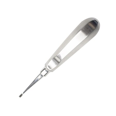 Economy 3mm Winged Dental Elevator, Stainless Steel 14-483 | Zoro