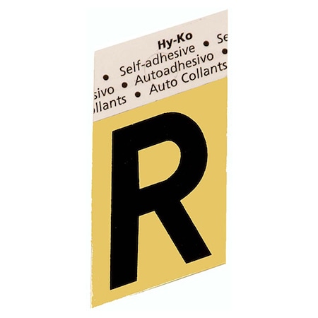 Hy-Ko 1.5 In Gold Aluminum Letter S, 10PK B00274 | Zoro