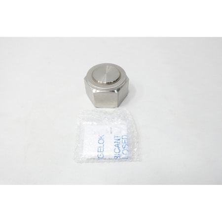 Swagelok 2IN STAINLESS PIPE PLUG SS-3200-P | Zoro