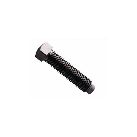 Newport Fasteners Square Head Set Screw, Dog - Half, 1/4-20x5/8