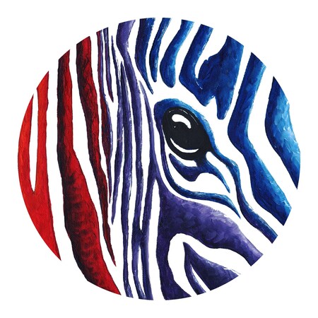 Next Innovations 16" Colorful Zebra Round Wall Art 101409002-MDZEBRA | Zoro