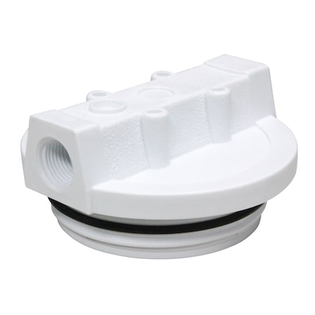 Waterpur WaterPur 10-CLW CAP ONLY Replacement Cap 10-CLW CAP ONLY | Zoro