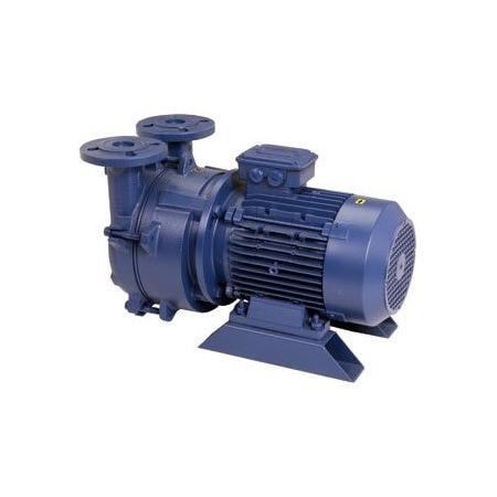 Squire Cogswell Liquid Ring Vacuum Pumps: Compact, Motor Mount SM55A | Zoro