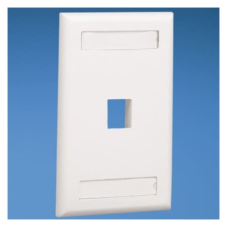 Panduit Flush Mount Screw-On Faceplates With Lab (10 Pack), 10PK ...