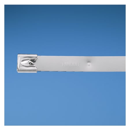Panduit Cable Tie, 17 in L, 4 in Max Bundle Dia., Silver, 304 Stainless ...