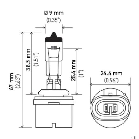 Hella BULB 893 12V 37.5W P 893 | Zoro