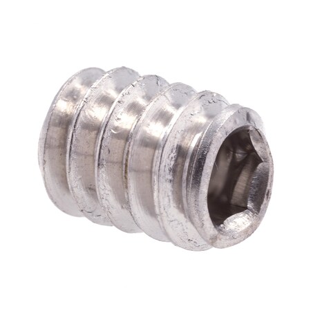 Prime-Line Socket Set Screw No. 10-24 X 1/4in Grade 18-8 Stainless ...