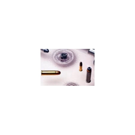 Professional Plastics Clear Bullet Resist Polycarbonate Sheet, 1.250 ...