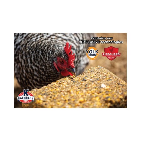 Kalmbach Feeds HENHOUSE RESERVE BLOCK Y1117BLK | Zoro