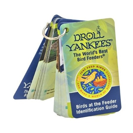 Droll Yankees Bird Feeder Guide JFB-IDBK-O | Zoro