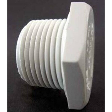 Lasco Plug Pvc Mip 2 In 450020BC | Zoro