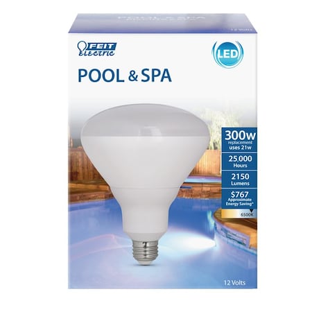 Feit Electric Pool Led R40 Non-Dim 65K 12V R40/2150/865/LED- | Zoro