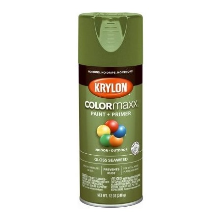 Krylon 12OZ Seaweed GLS Paint K05538007 | Zoro