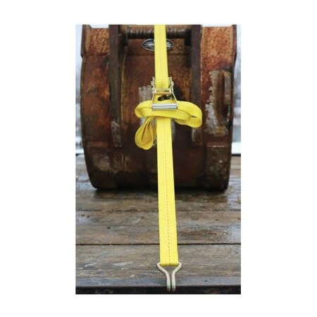 Ancra/S-Line 1.5IN X 16FT RATCHET TIE-DOWN WITH J SL101 | Zoro
