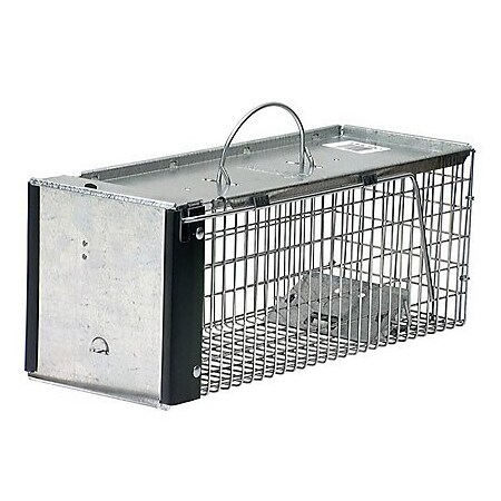 Traprite Cardboard Rat Station 2154 RS 2154RS | Zoro